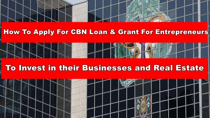 How To Apply For CBN 50,000 Fund For Entrepreneurs To Invest in their ...